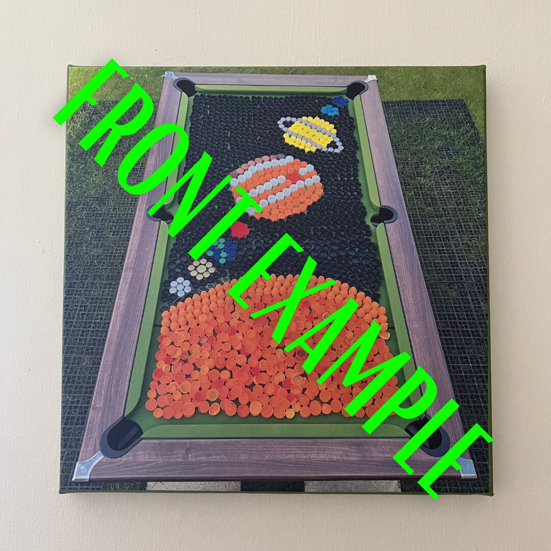 Binfluencer Influencer Funny Quote Recycled Canvas Print - Etsy