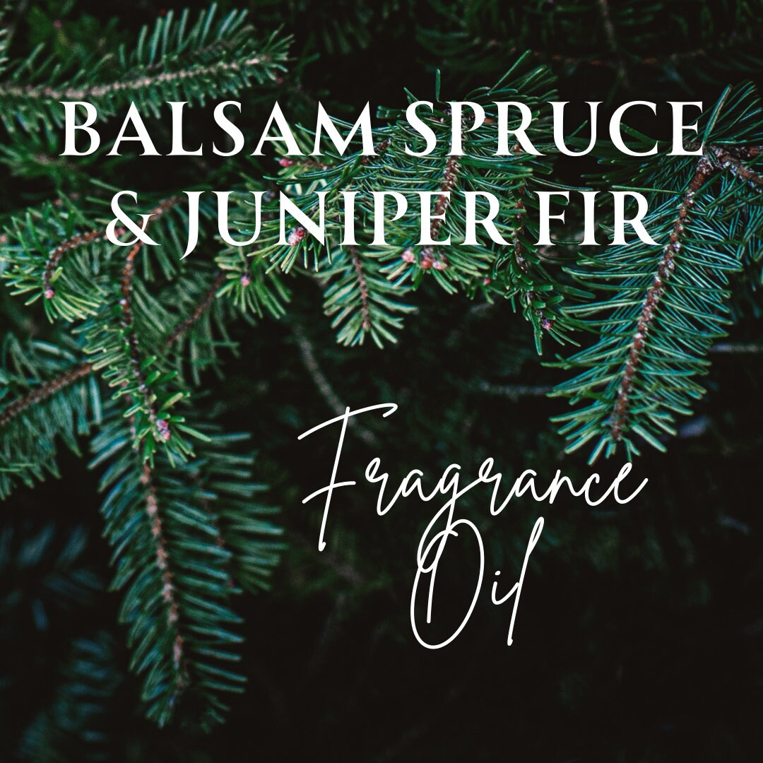 BALSAM SPRUCE & JUNIPER Fir- Fragrance Oil- Roll on Perfume Oil, Earthy ...