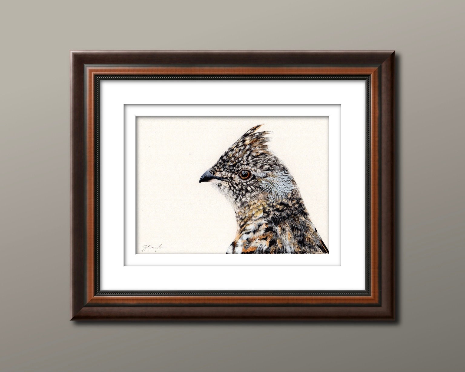 Ruffed Grouse / Bird Art / Bird Drawing / Wildlife Art - Etsy