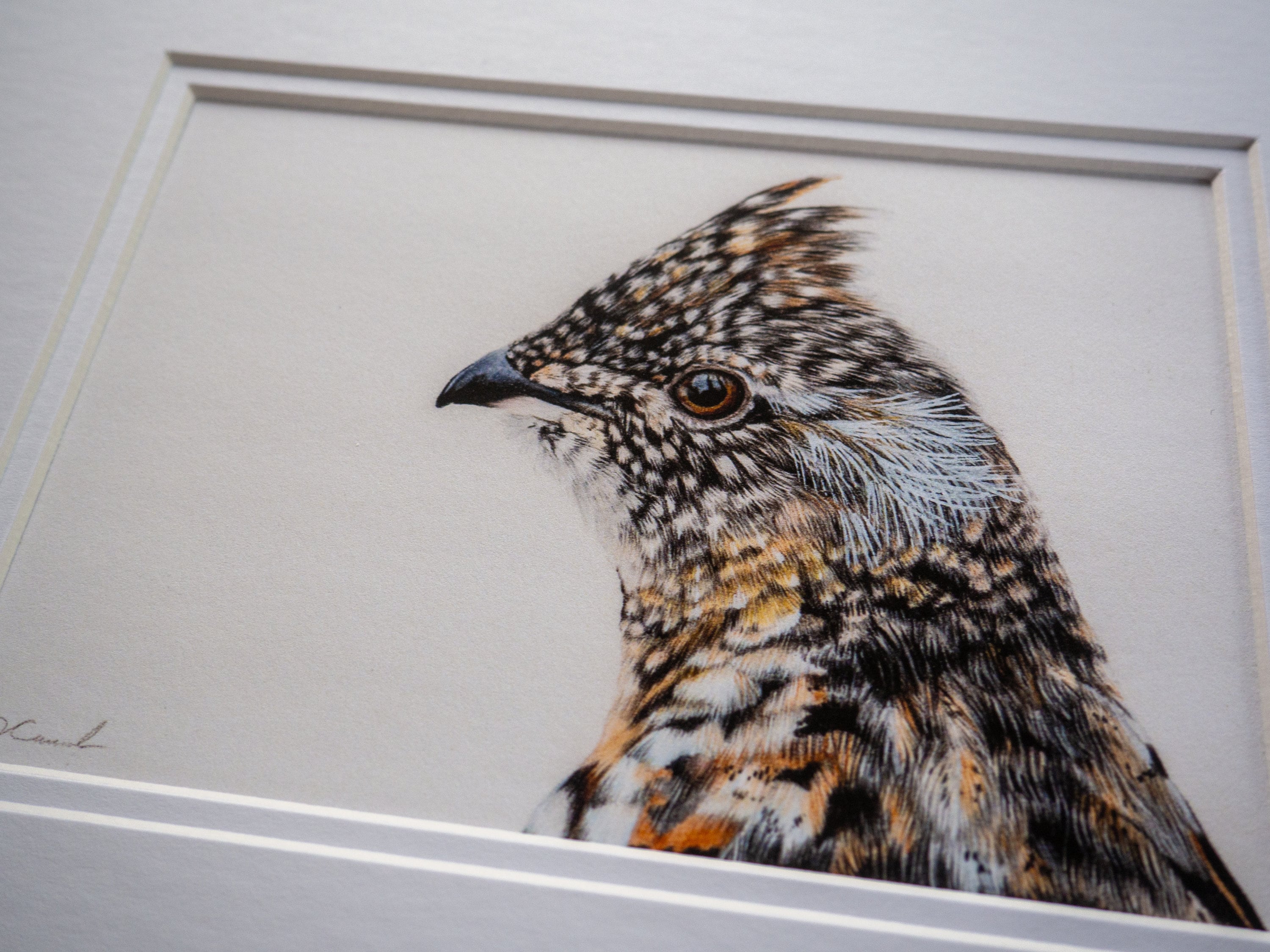 Ruffed Grouse Print / Bird Print / Bird Artwork / Bird Art Prints - Etsy