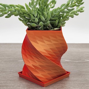 Two-tone Helix Planter | Modern Geometric Decor for Home & Office ...