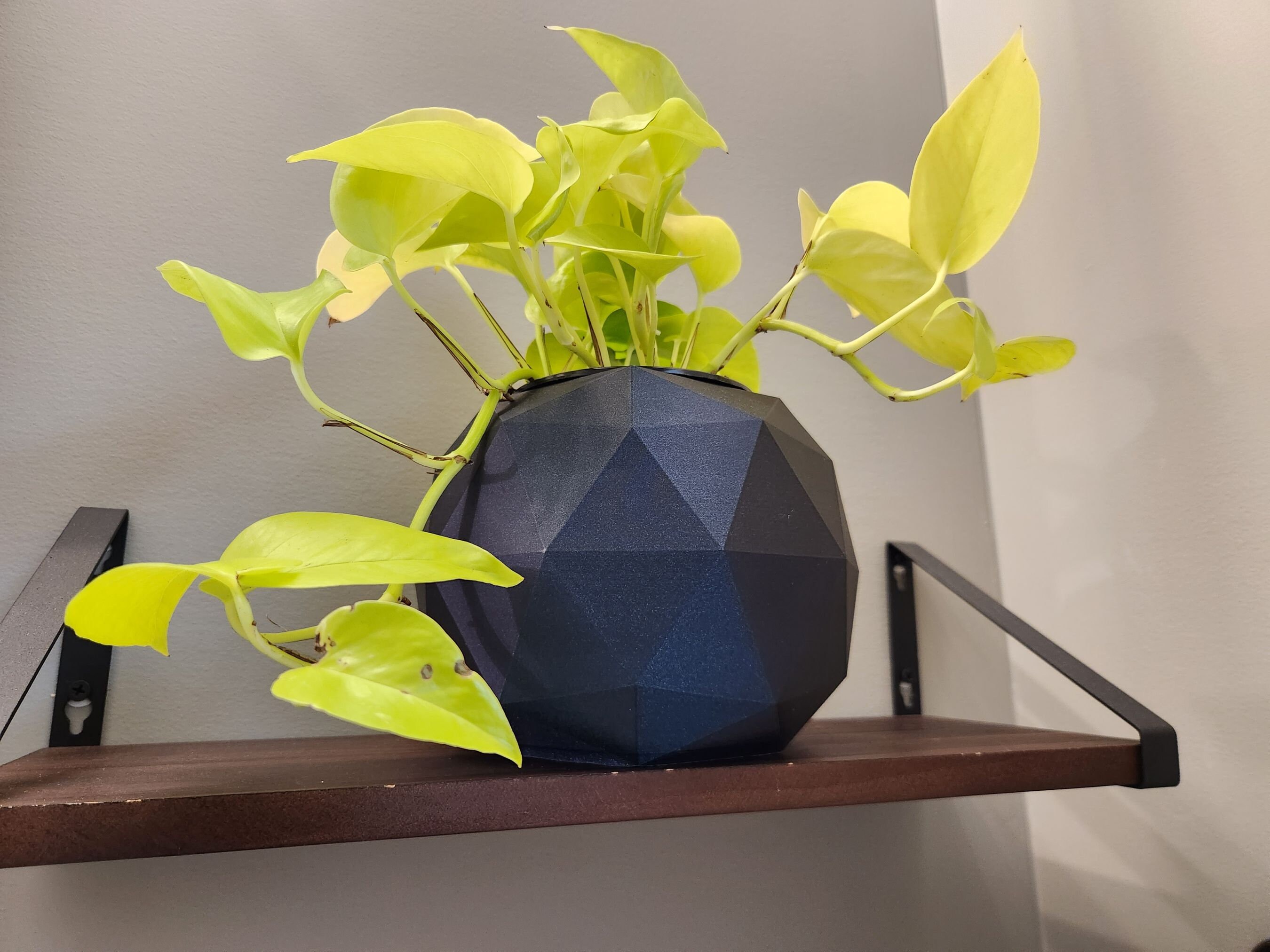 Solid Color Low-poly Planter | Modern Geometric 3D Printed Plant Pot ...