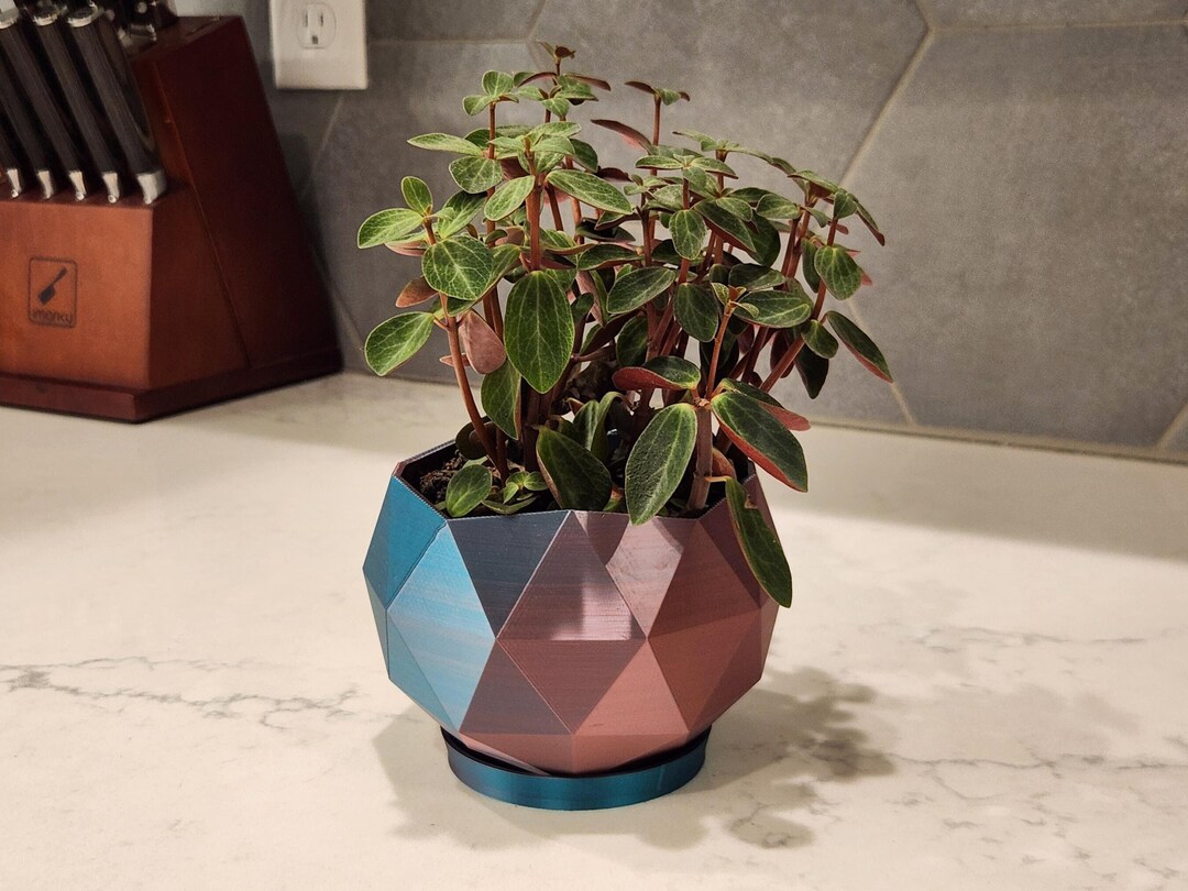 Low-poly Rainbow Planter | Multi-color Geometric Holder for Succulents ...