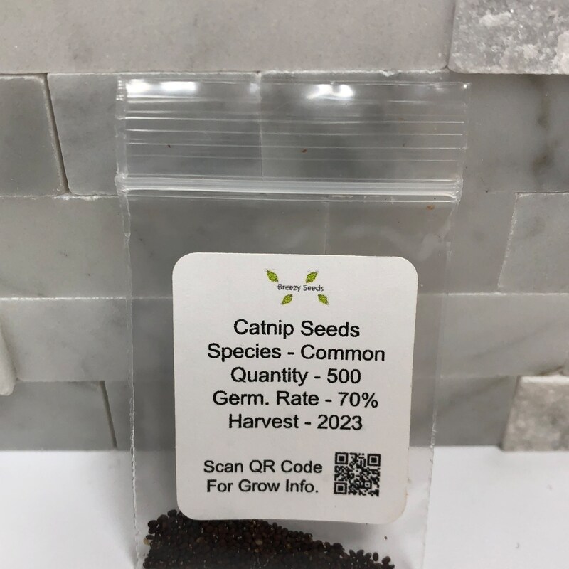 Catnip Seeds - Etsy