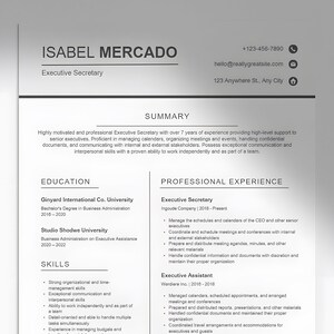 CV Resume Template, Technical CV and Recruiters CV: Professional Mock ...