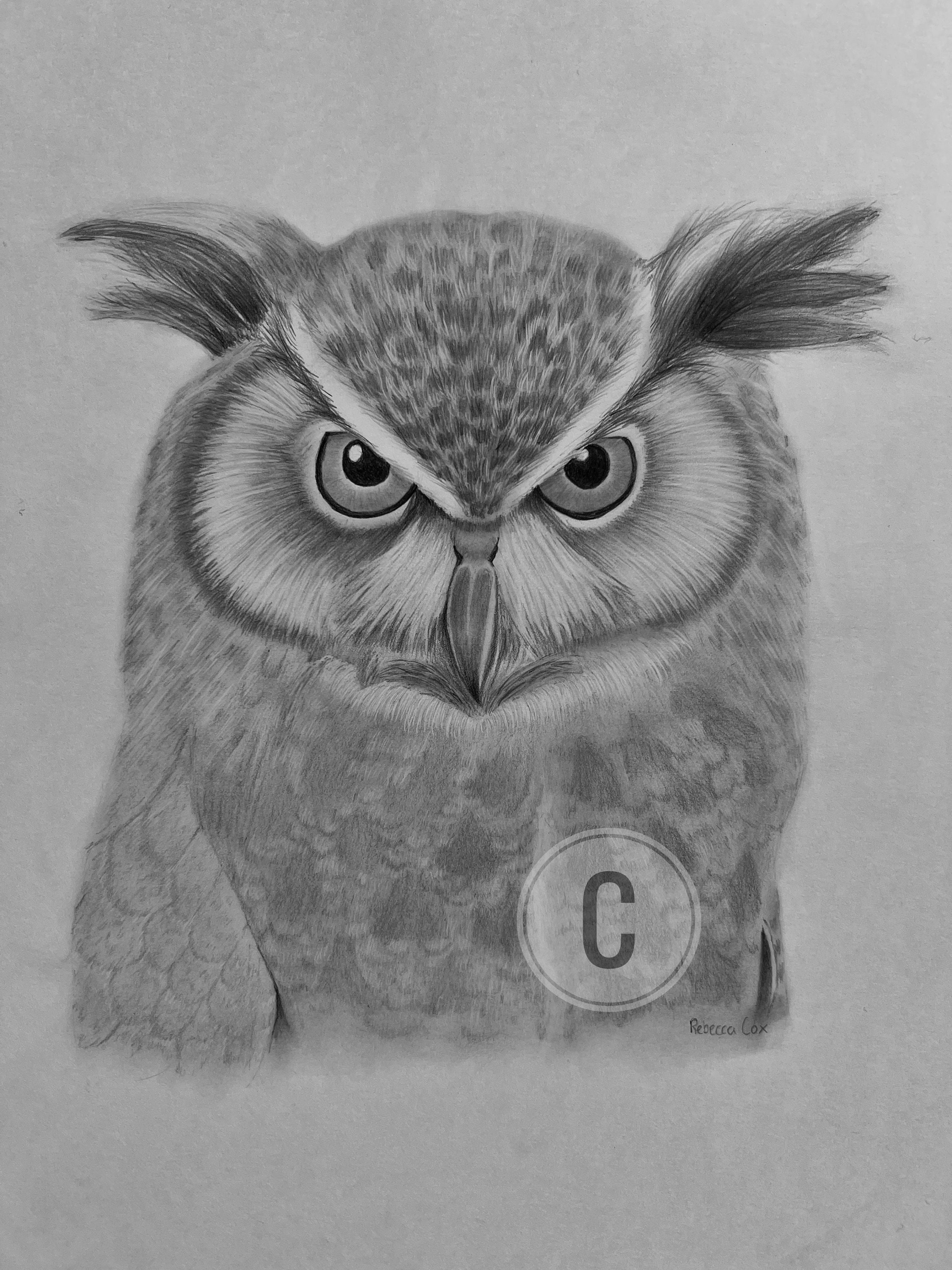 Owl Pencil Drawing Digital Download - Etsy