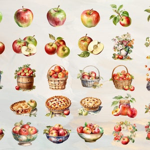 Watercolor Apple Themed PNG Clip Art Bundle Fruit Graphics - Etsy