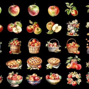 Watercolor Apple Themed PNG Clip Art Bundle Fruit Graphics - Etsy