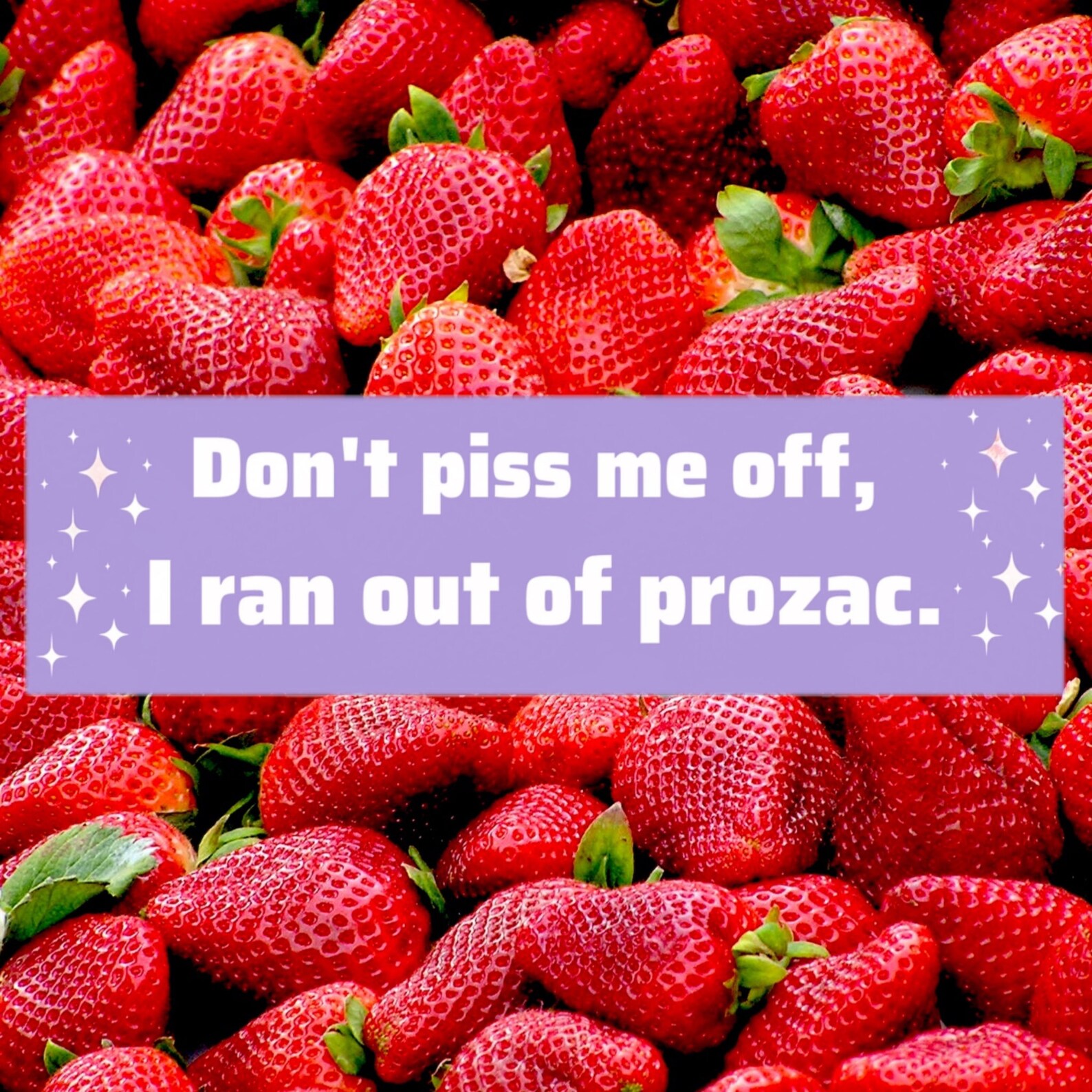 Funny Bumper Sticker Gunny Gen Z Sticker Prozac Sticker Funny - Etsy