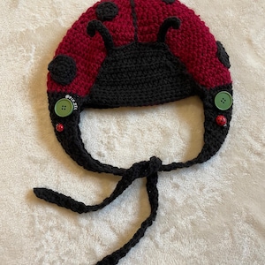 Ladybug Hat Pattern | Crochet Bug | Beginner PDF Pattern | Whimsical ...