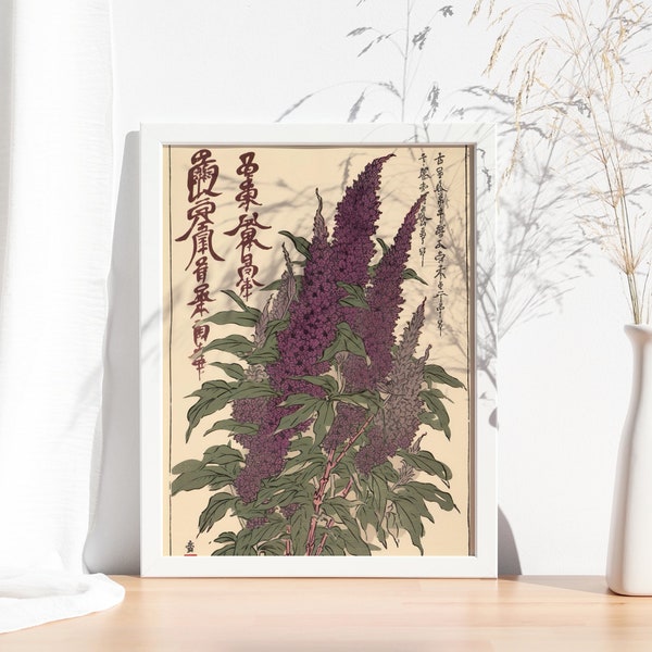 Japanese Amaranth - Etsy