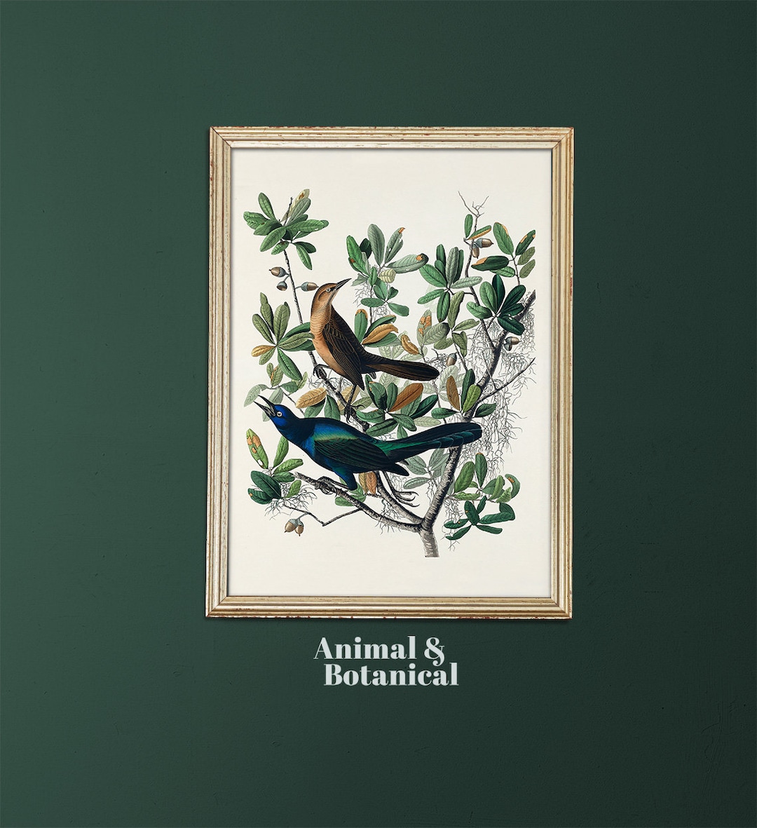 Unique Birds Etching Wall Art | Digital Download | Print Yourself ...