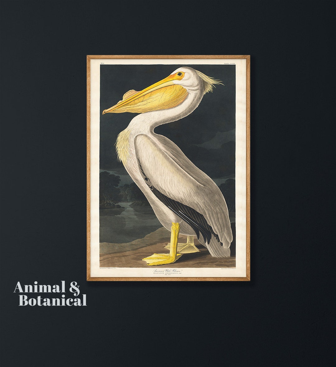 Vintage Bird Etching | DOWNLOADABLE ART | Unique Wall Art | Bird Wall ...