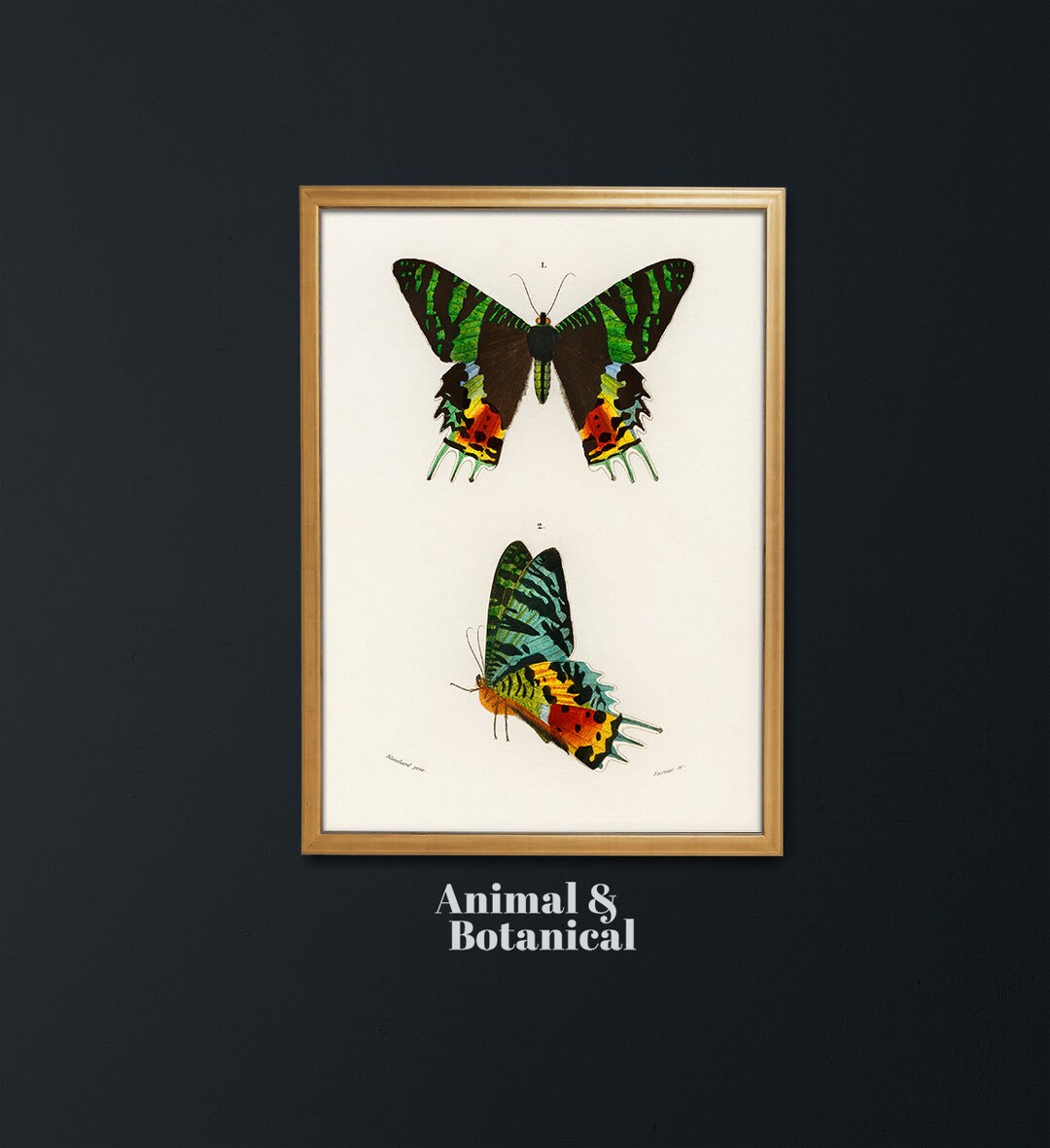 Two Butterflies Etching | DIGITAL ARTWORK | Instant Download | Multiple ...
