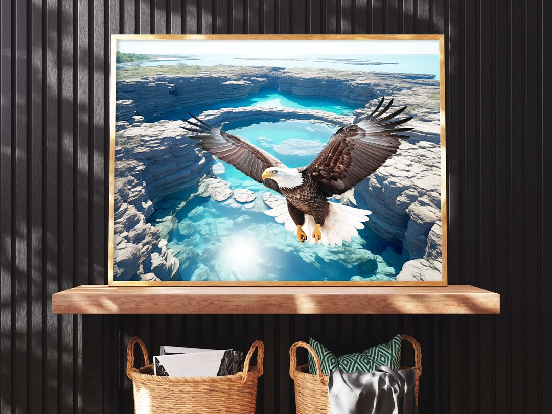 Bald Eagle Print, Bald Eagle Wall Art, La Jolla Print, Bald Eagle Decor ...