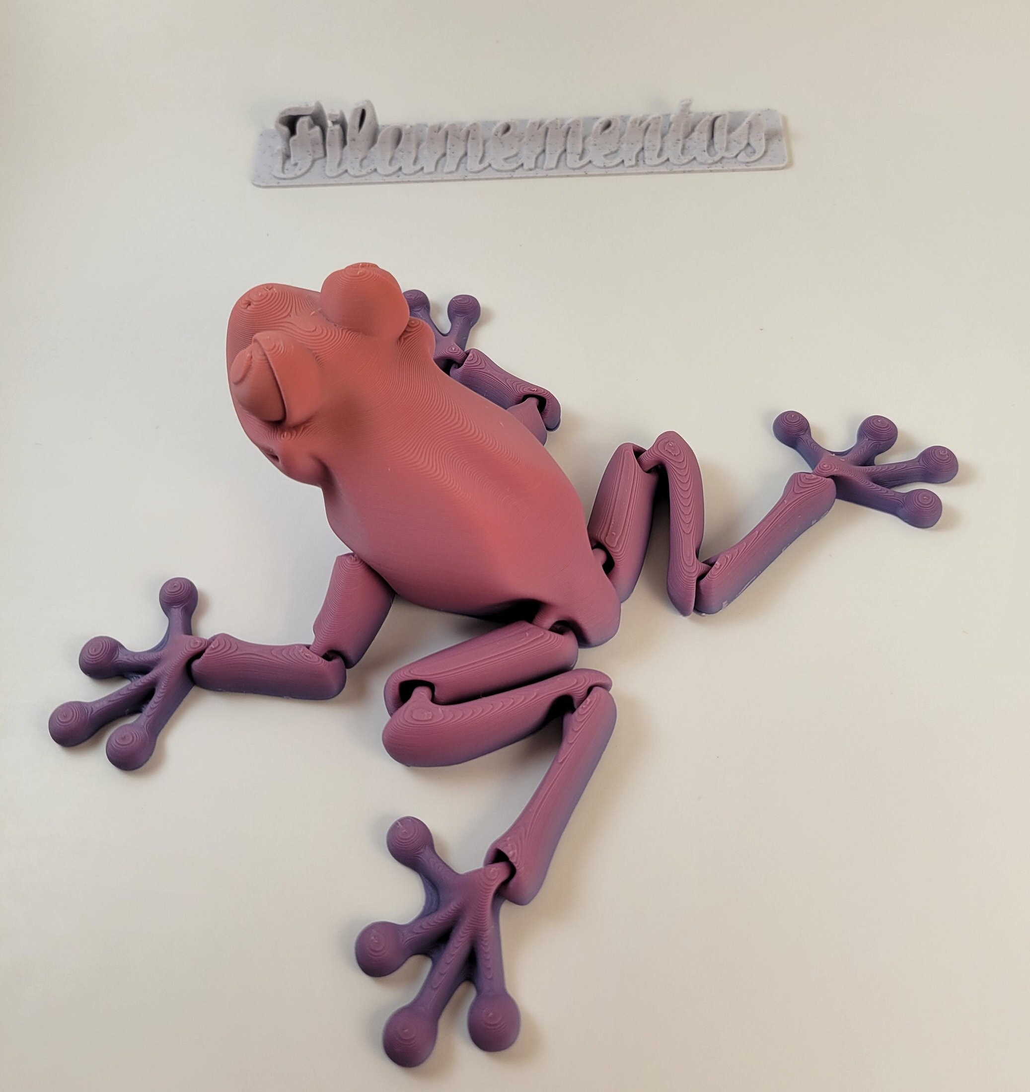 Articulated Tree Frog 3d Printed Toy - Etsy