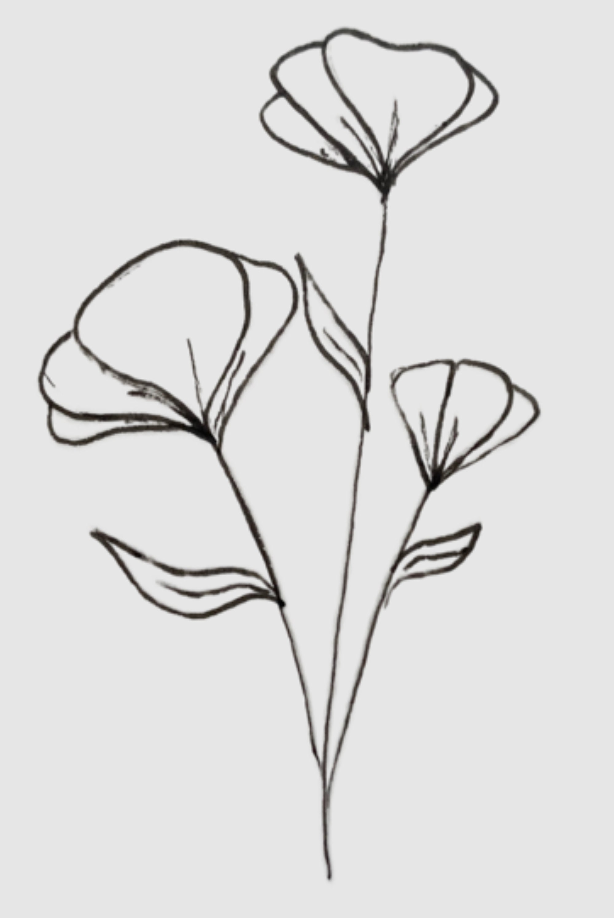 Poppy Outline Tattoo
