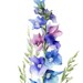 Purple Larkspur July Birth Month Flower Watercolor Digital Art Print ...