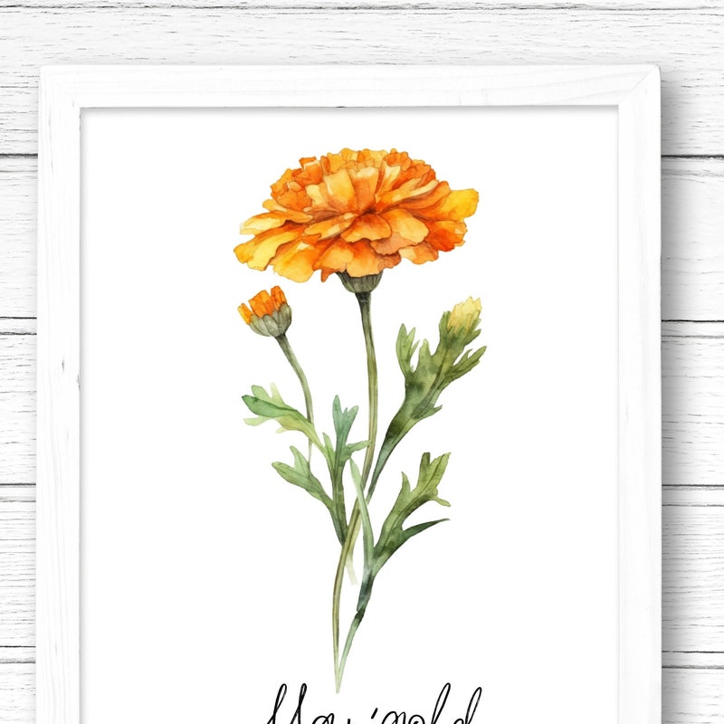 Marigold Print - Etsy