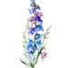 Purple Larkspur July Birth Month Flower Watercolor Digital Art Print ...