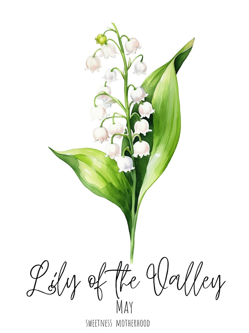 Lily of the Valley Watercolor Art Print: May Birth Flower (digital ...
