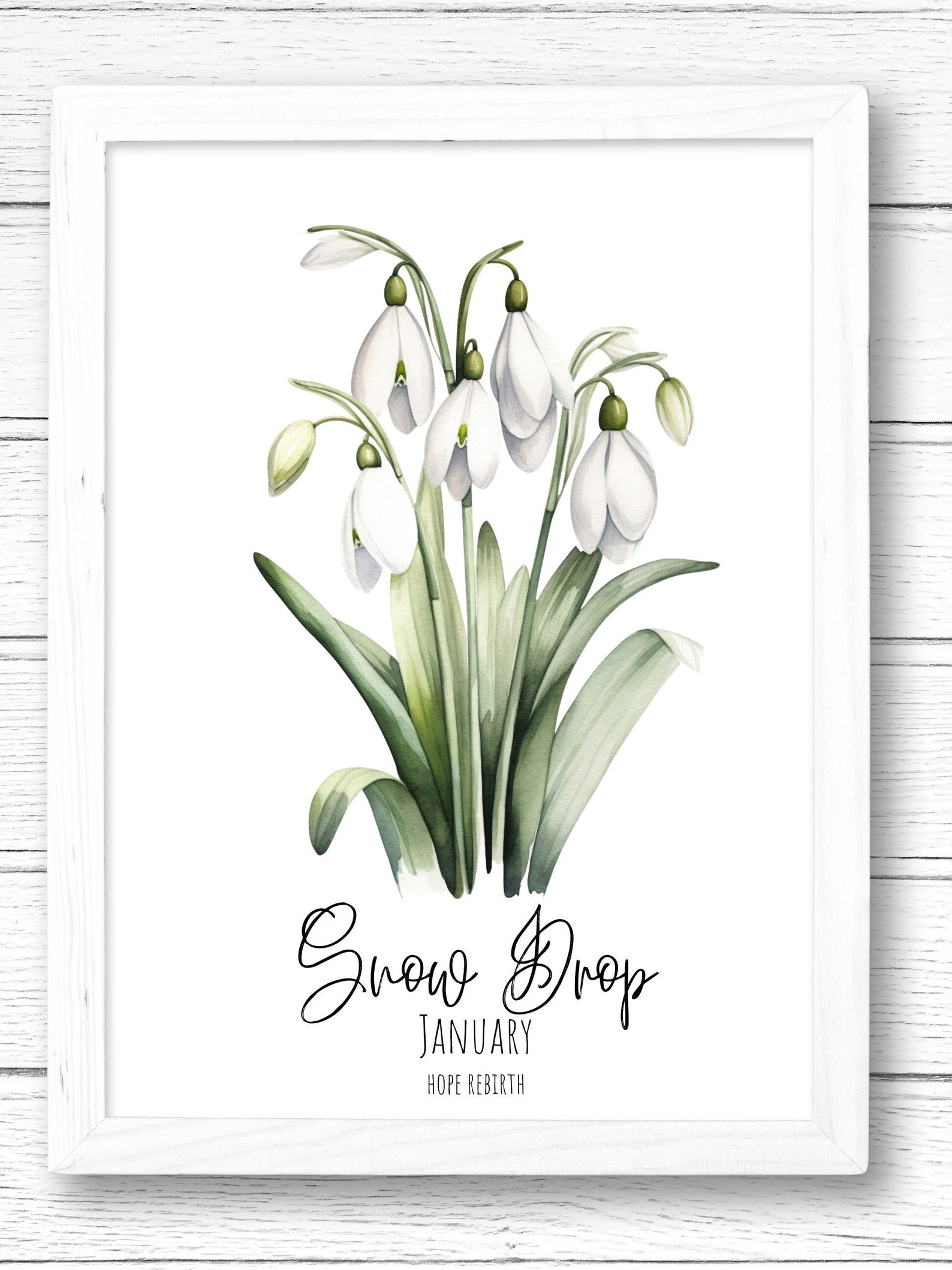 Snowdrop Flower Watercolor Digital Art Print Birth Month January ...