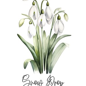Snowdrop Flower Watercolor Digital Art Print Birth Month January ...