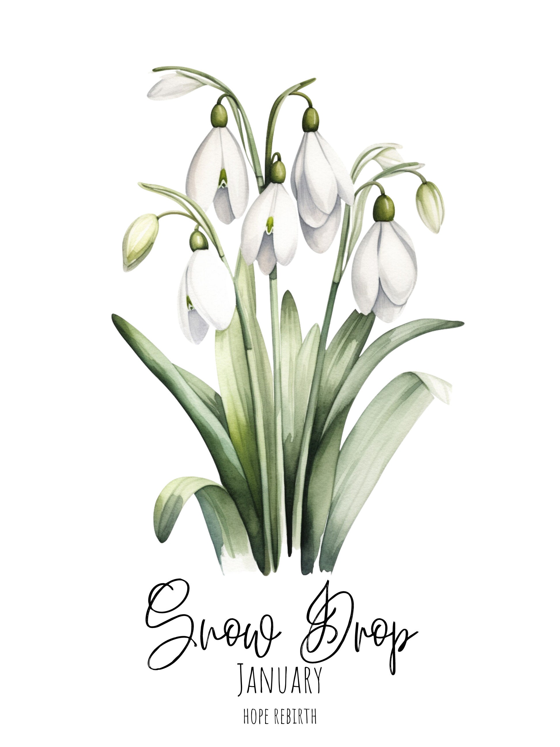 Snowdrop Flower Watercolor Digital Art Print Birth Month - Etsy UK