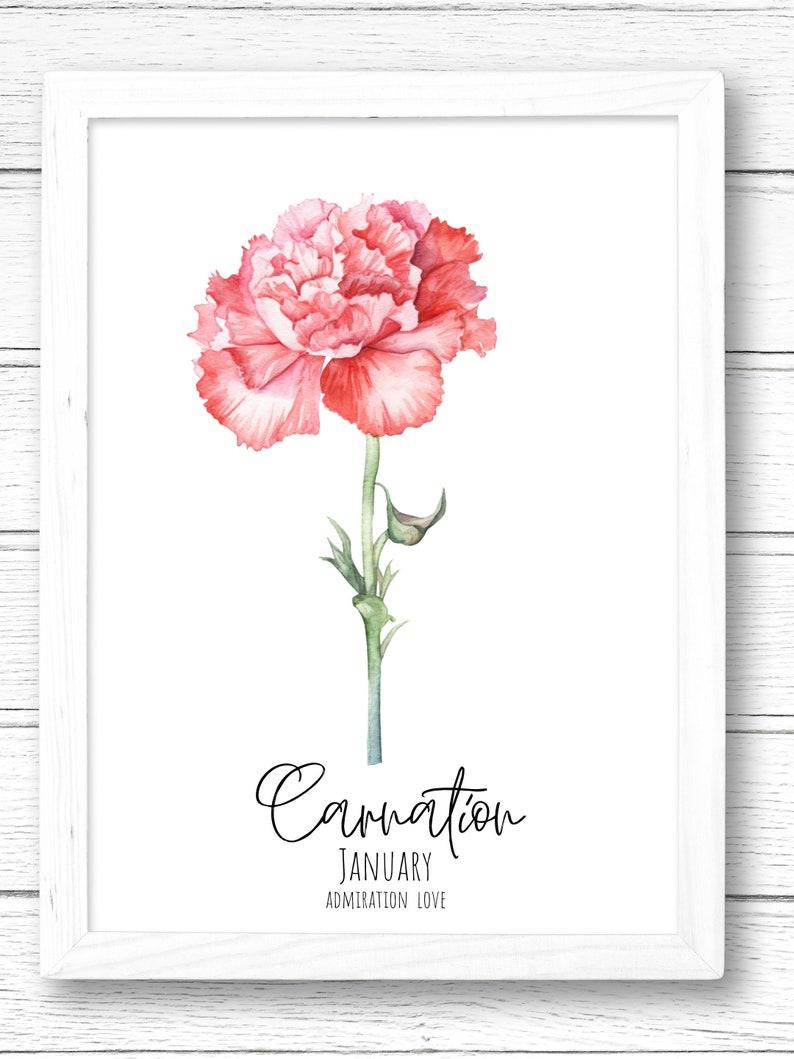 Carnation Flower Watercolor Digital Art Print Birth Month January ...