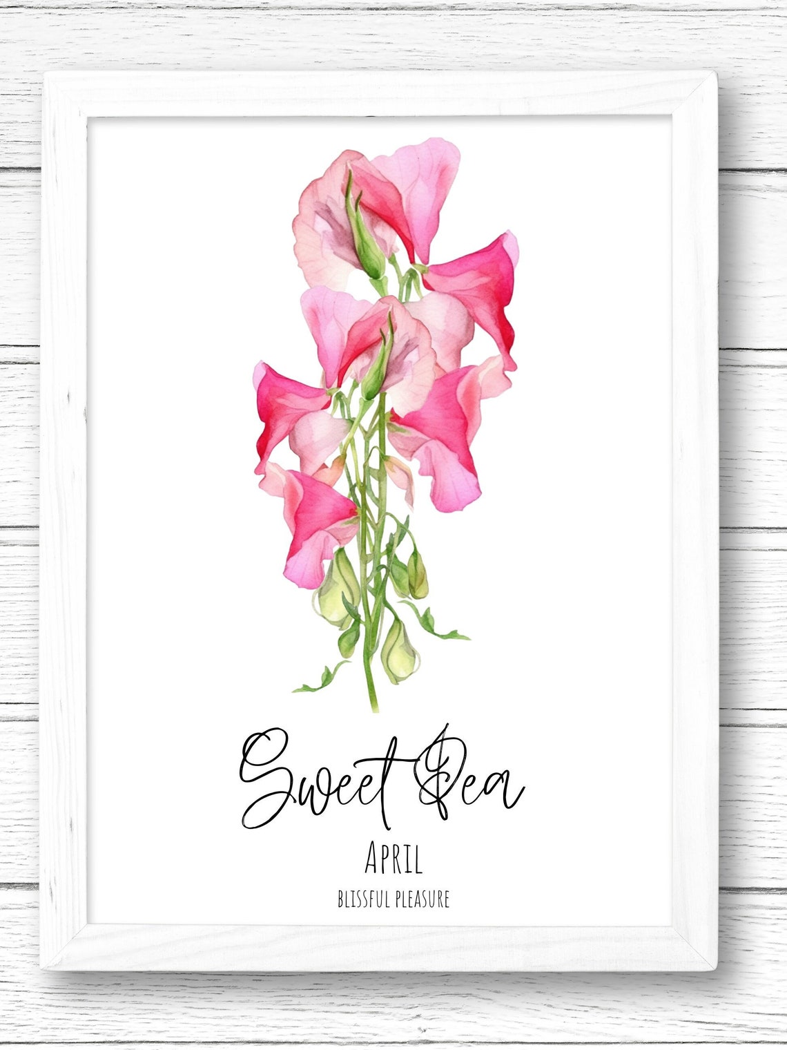 Sweet Pea Watercolor Art Print: April Birth Flower (digital Download ...