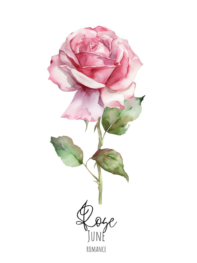 Pink Rose June Birth Month Flower Watercolor Digital Art Print Digital ...