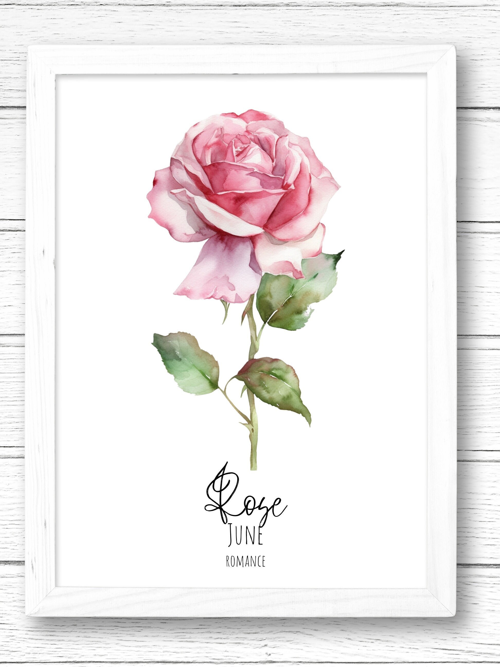 Pink Rose June Birth Month Flower Watercolor Digital Art Print - Etsy