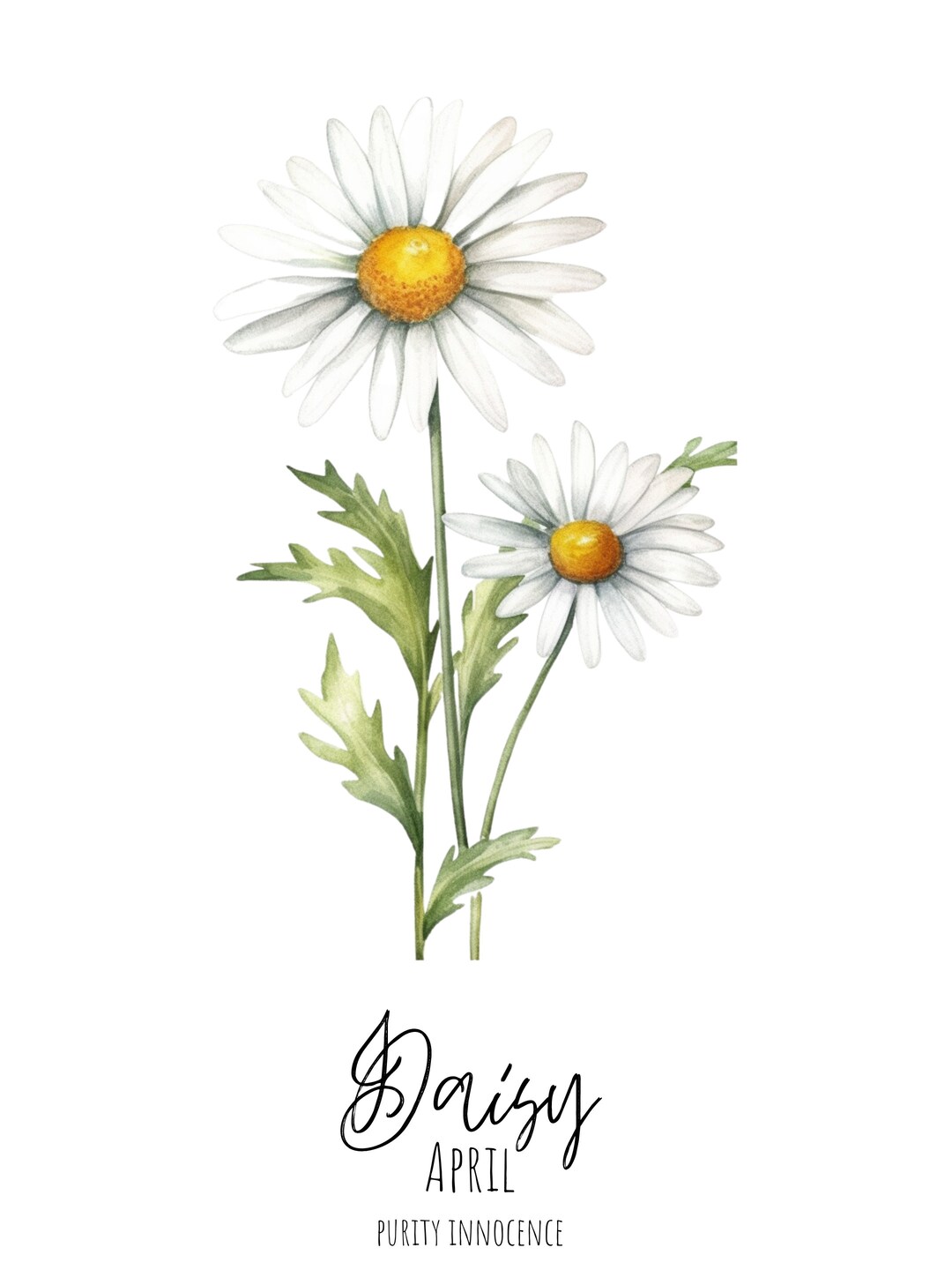 Daisy April Flower Watercolor Digital Art Print Birth Month - Etsy