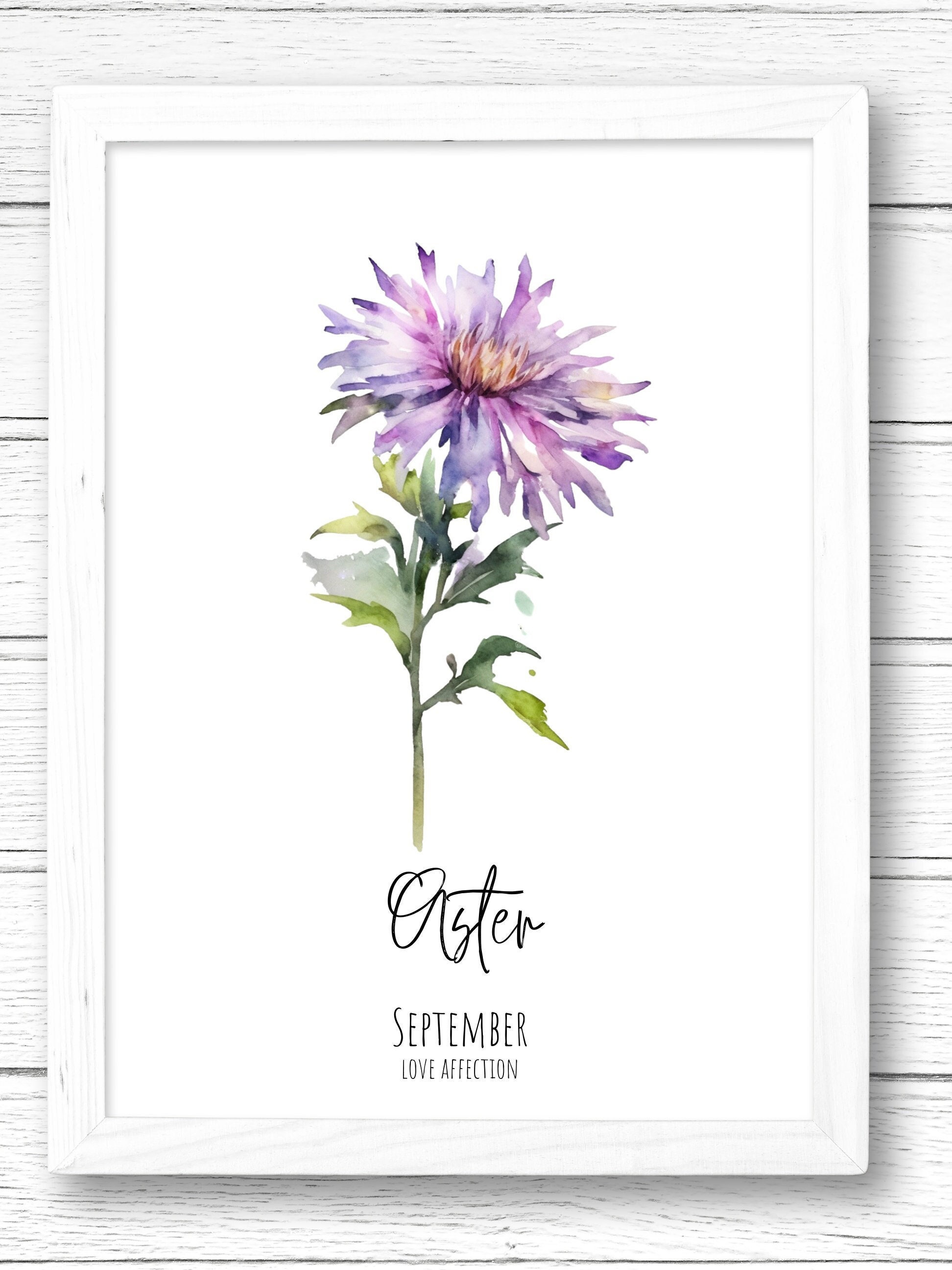 Purple Aster Watercolor Print: September Birth Flower (digital Download ...