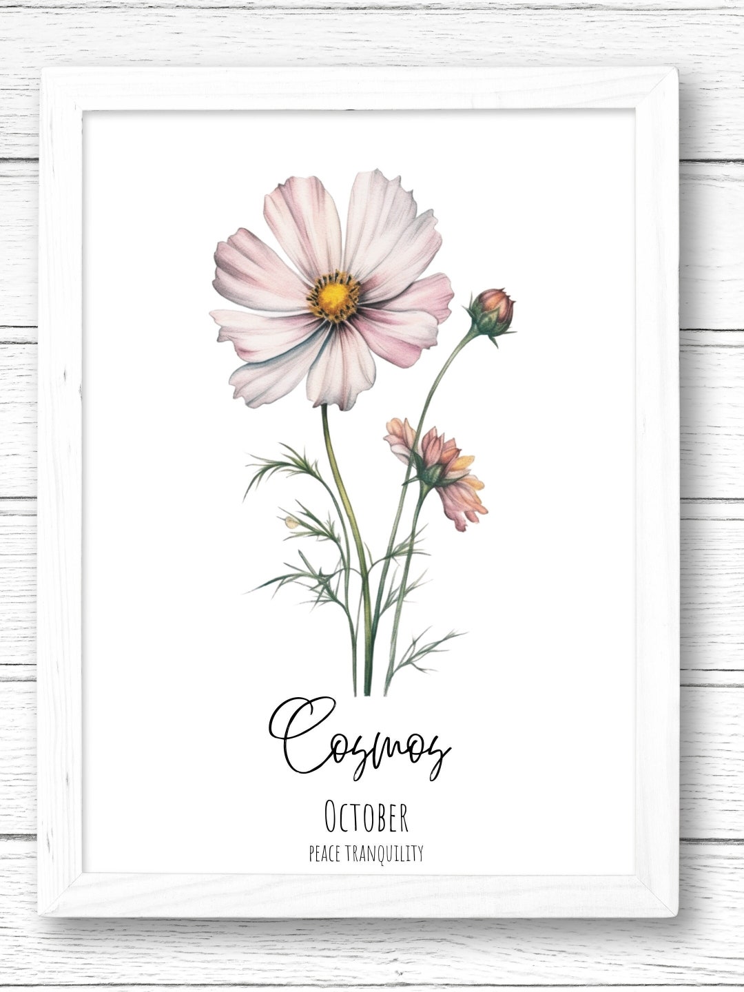 Purple Cosmos October Birth Month Flower Watercolor Digital Art Print ...
