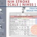 NIH Stroke Scale Assessment Form [ NIHSS ] | Printable PDF Download - Etsy