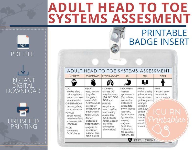 Adult Head to Toe Systems Assessment | Printable PDF Download - Etsy