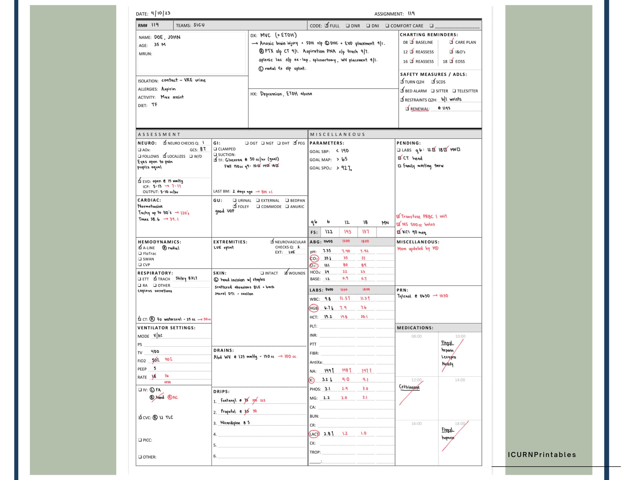 ICU Nurse Brain Report Sheet Printable PDF - Etsy