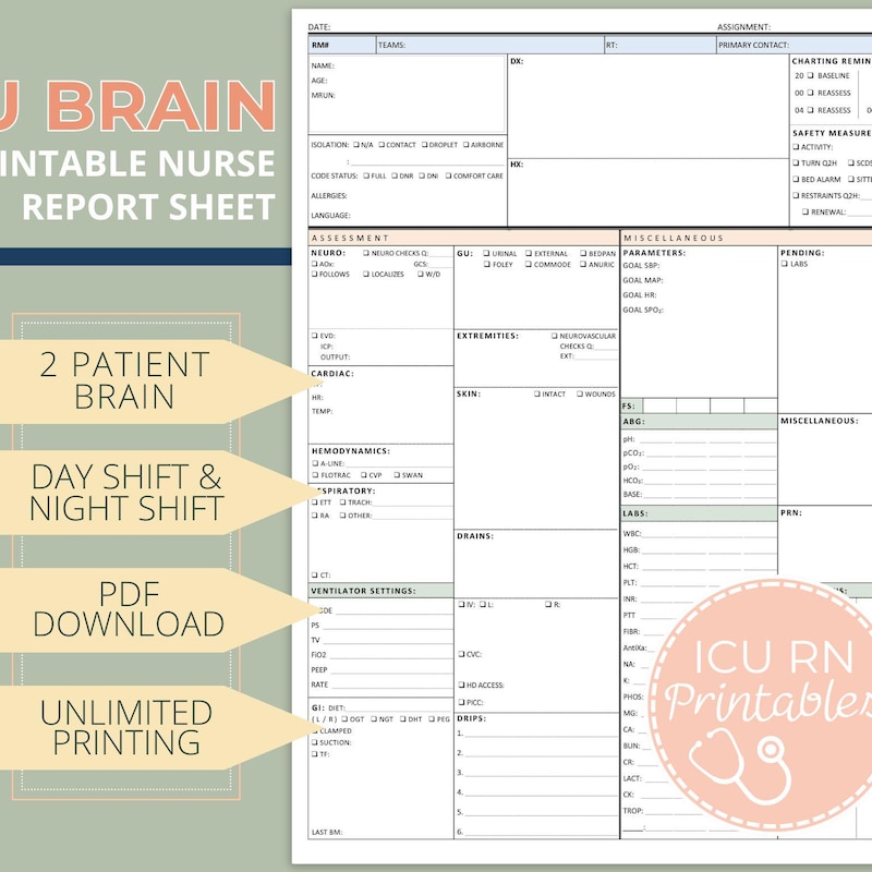 Nurse's Brain Sheet - Etsy
