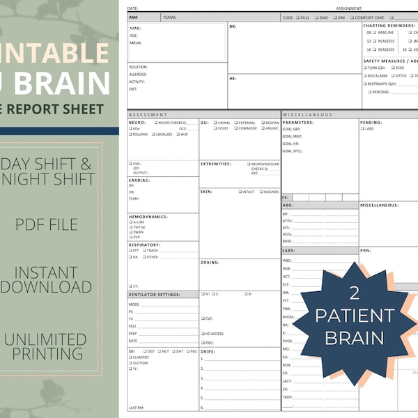 Icu Brain Sheet - Etsy