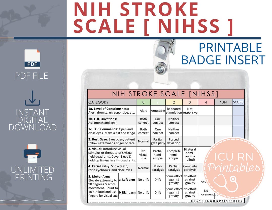 NIH Stroke Scale [ NIHSS ] | Printable PDF Download - Etsy Ireland