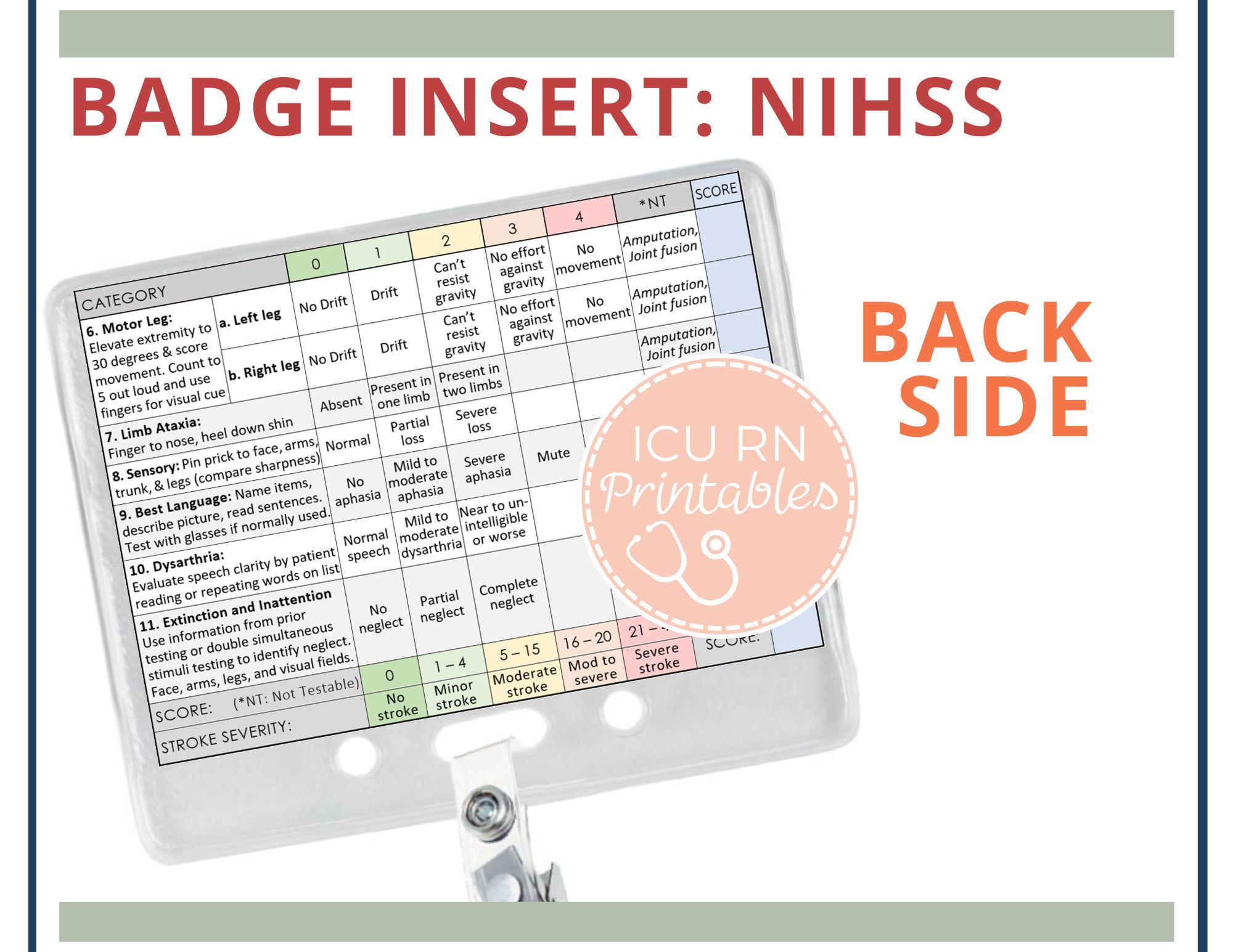 NIH Stroke Scale Bundle: NIHSS Assessment Form and Badge Insert ...