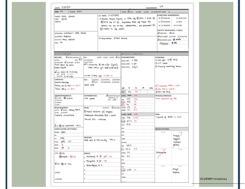 ICU Nurse Brain Report Sheet Printable PDF - Etsy