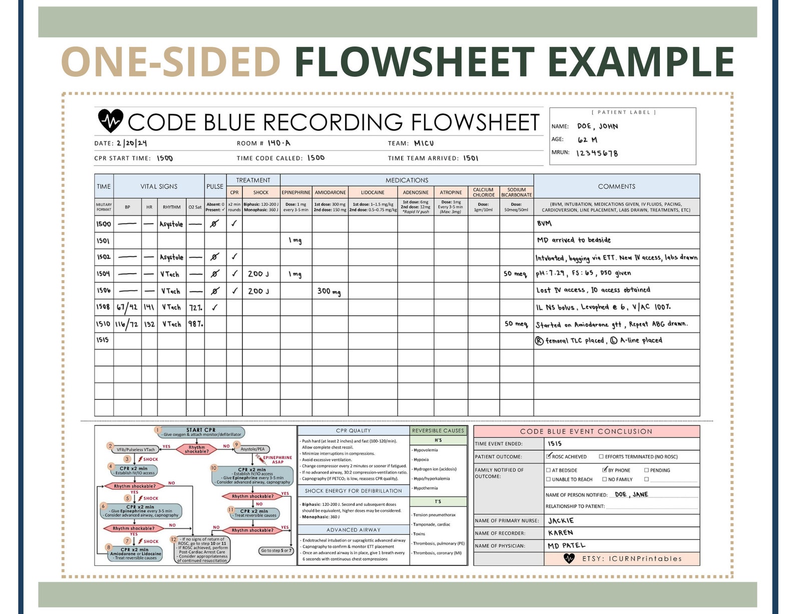Code Blue Recording Flowsheet | Printable PDF Download - Etsy