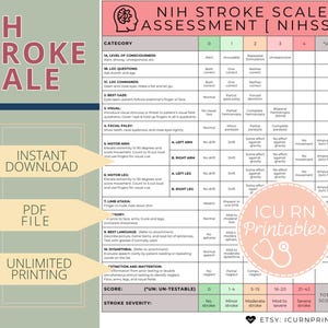 NIH Stroke Scale Assessment Form [ NIHSS ] | Printable PDF Download - Etsy