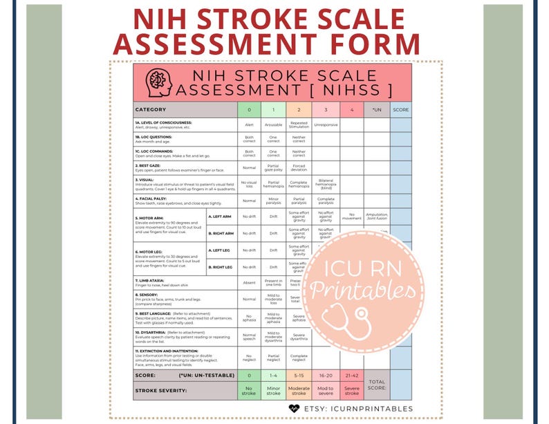 NIH Stroke Scale Assessment Form [ NIHSS ] | Printable PDF Download - Etsy