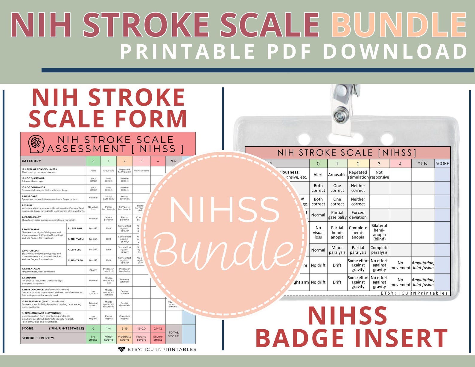 NIH Stroke Scale Bundle: NIHSS Assessment Form and Badge Insert ...