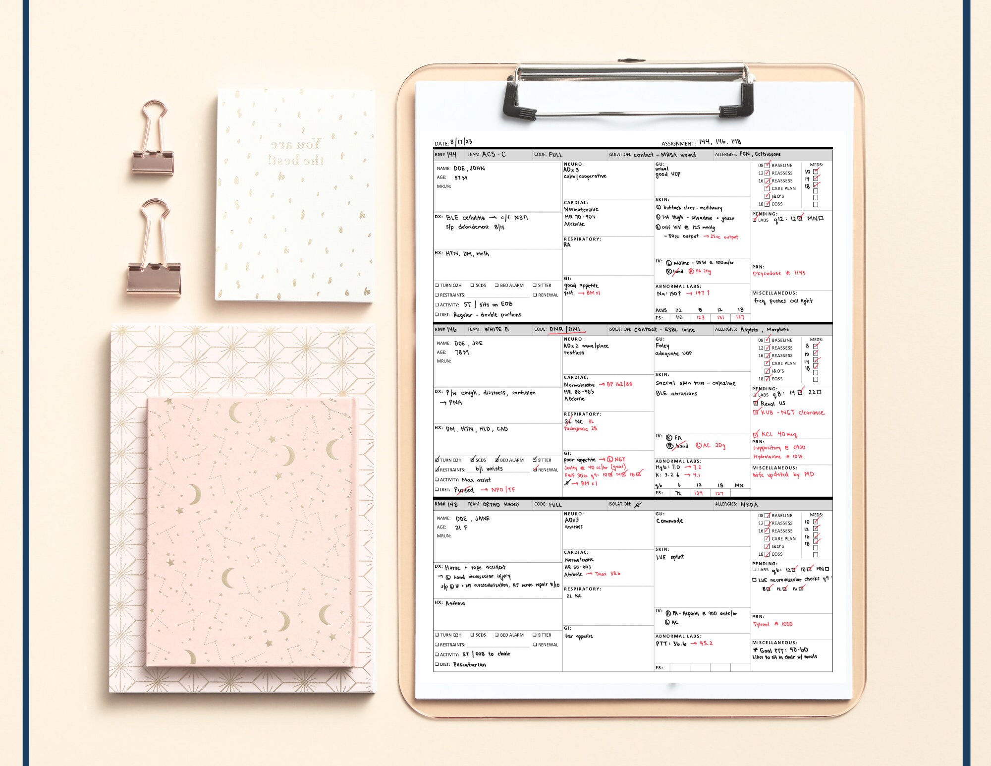 6 Patient Med-surg Nurse Brain Report Sheet Printable PDF Download - Etsy