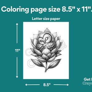 Sleeping Birds Coloring Pages, for Adults, Teens, and Kids 20 Digital ...