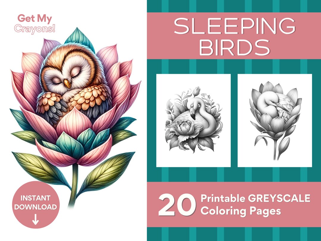 Sleeping Birds Coloring Pages, for Adults, Teens, and Kids 20 Digital ...